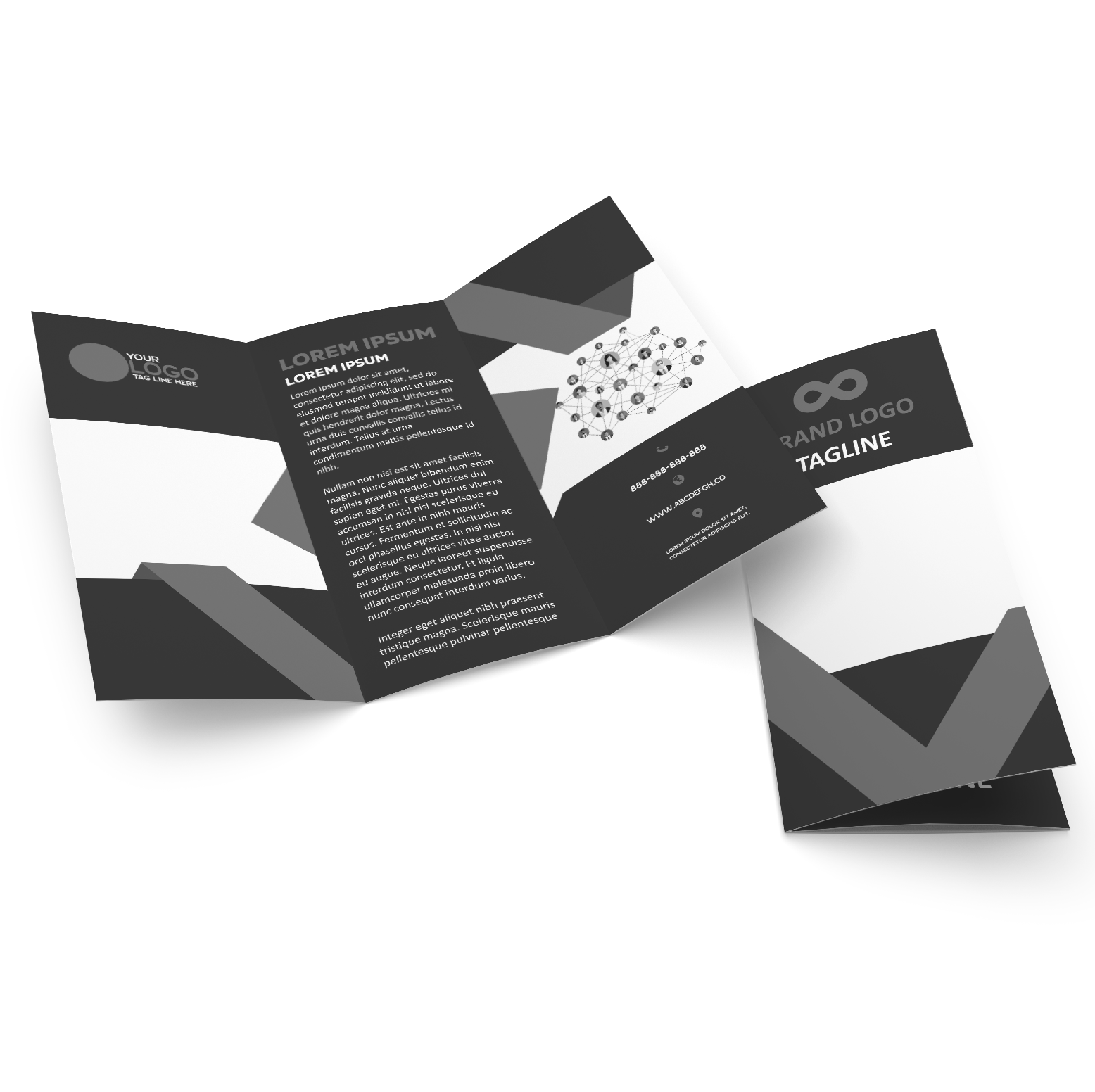 Trifold Brochure Design 8