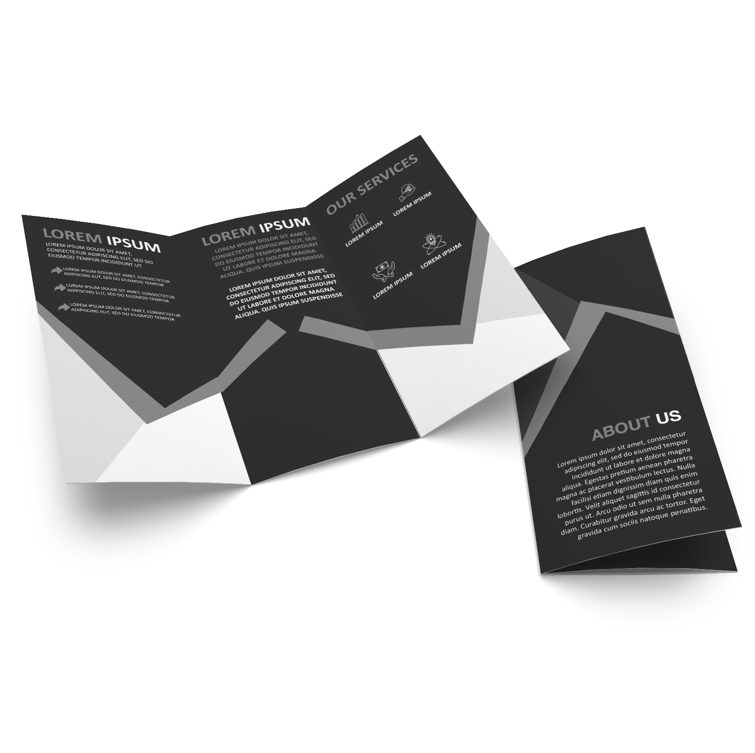 Trifold Brochure Design 7