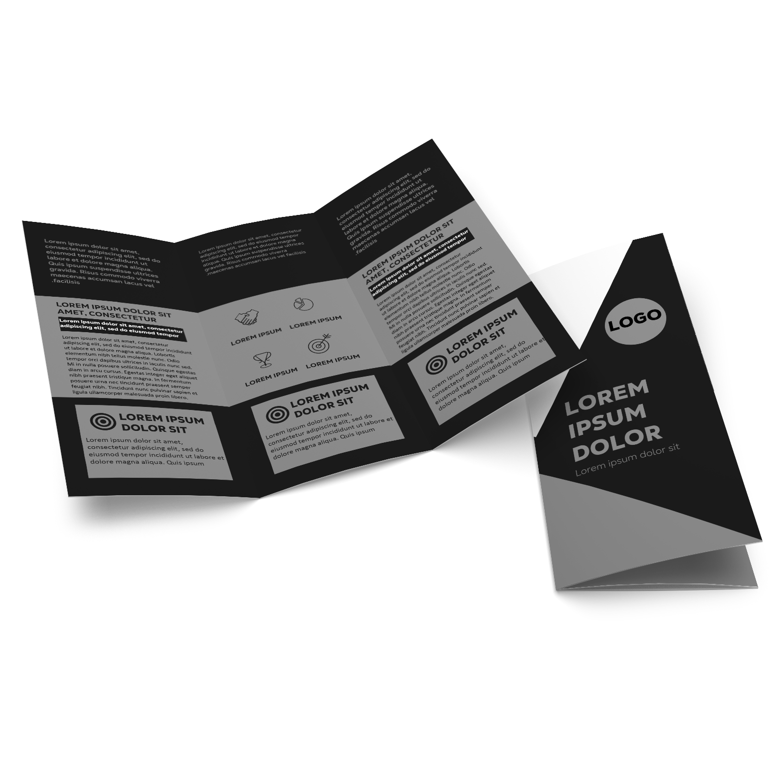 Trifold Brochure Design 48