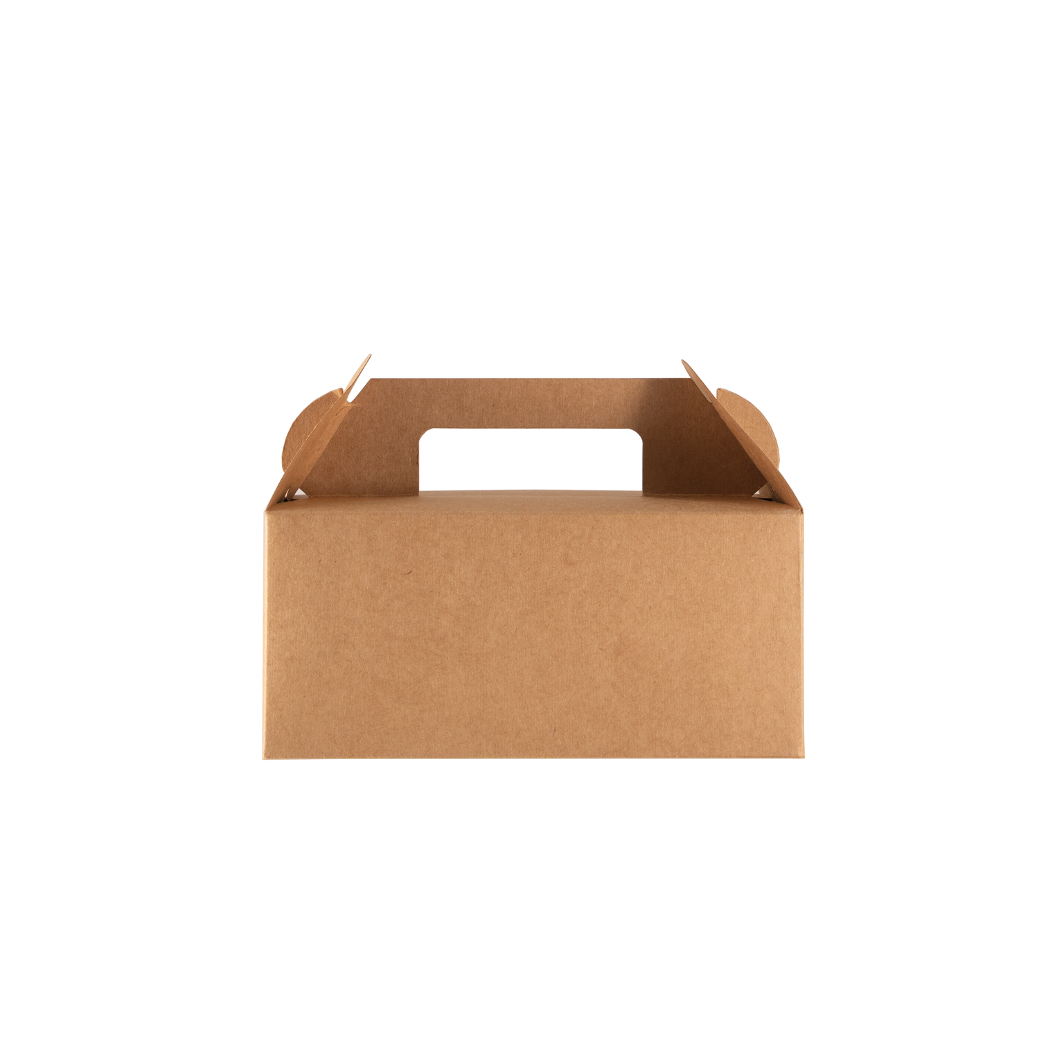 Printed Lunch Box