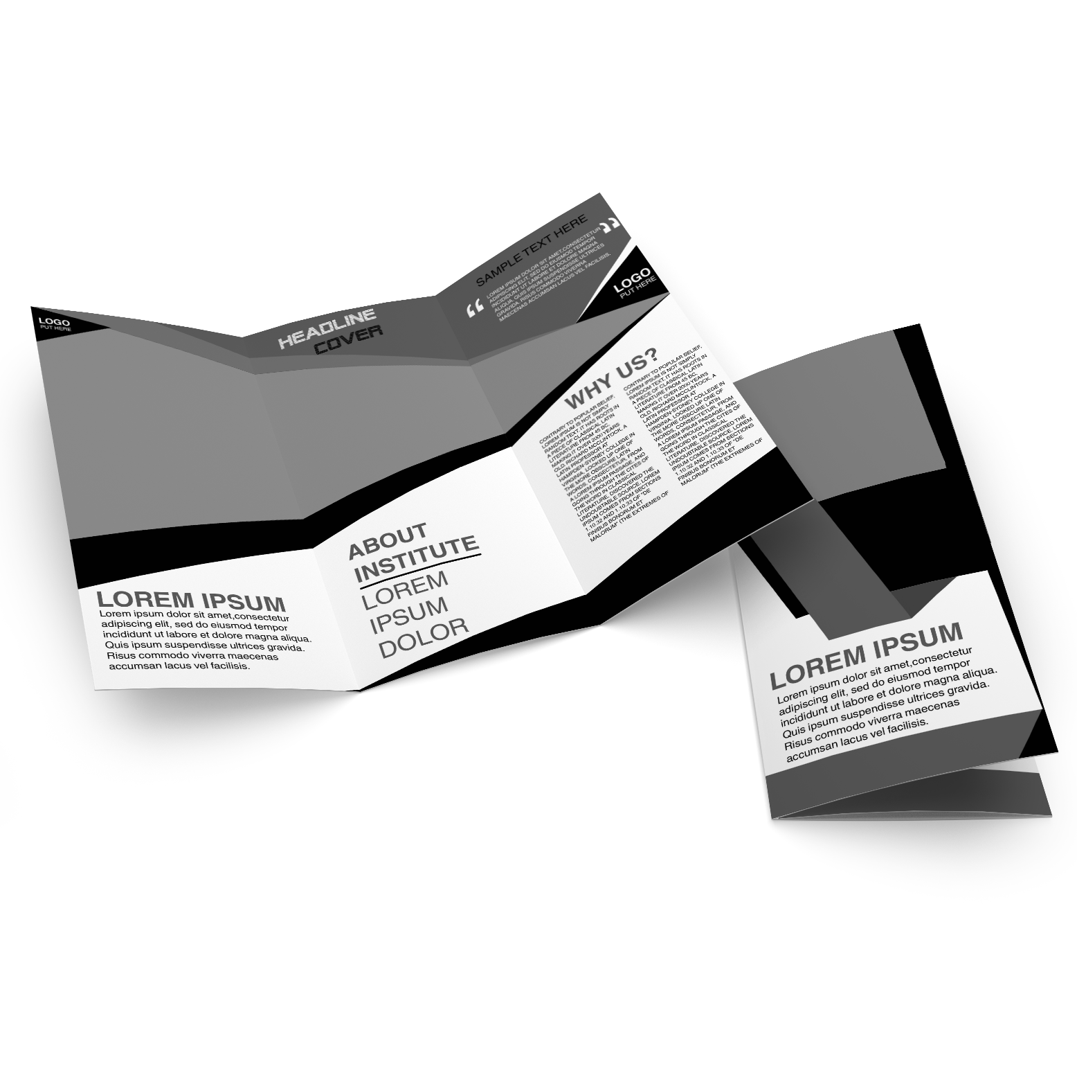 Trifold Brochure Design 6