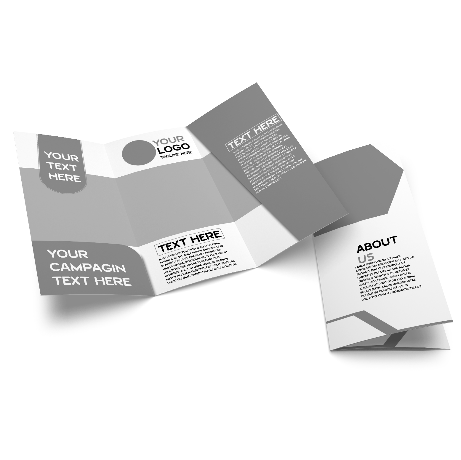 Trifold Brochure Design 24