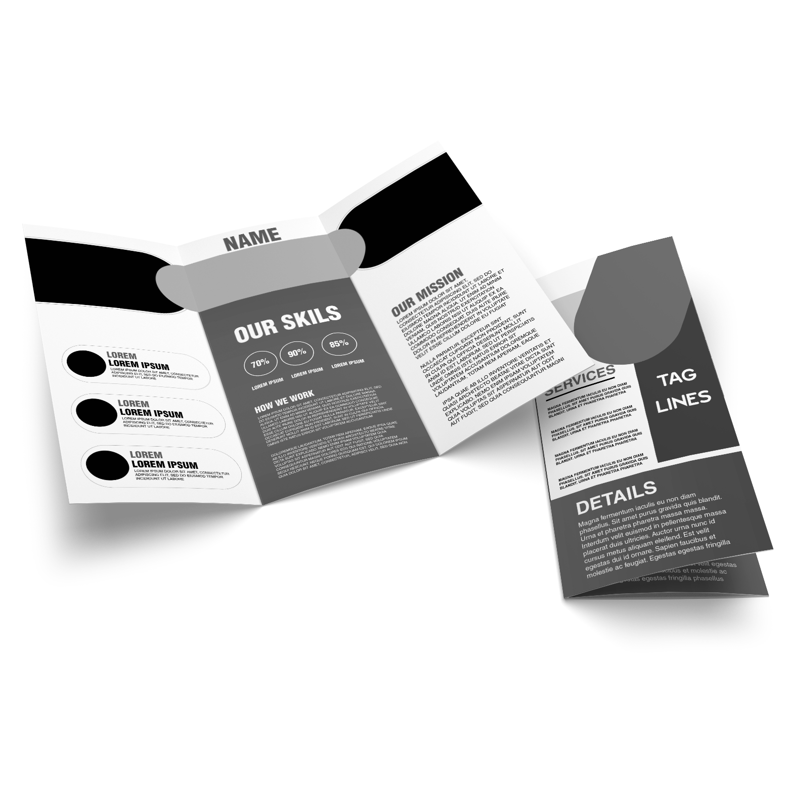 Trifold Brochure Design 20