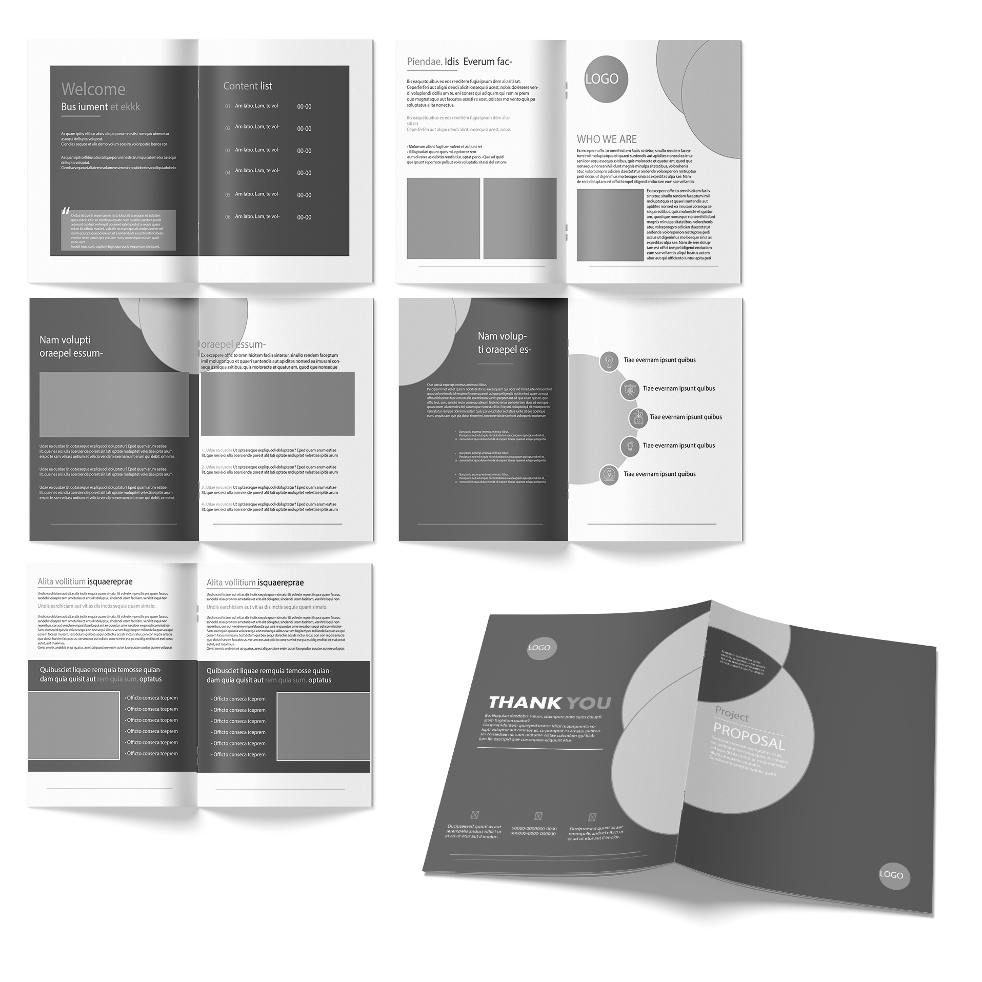 Company Profile 48